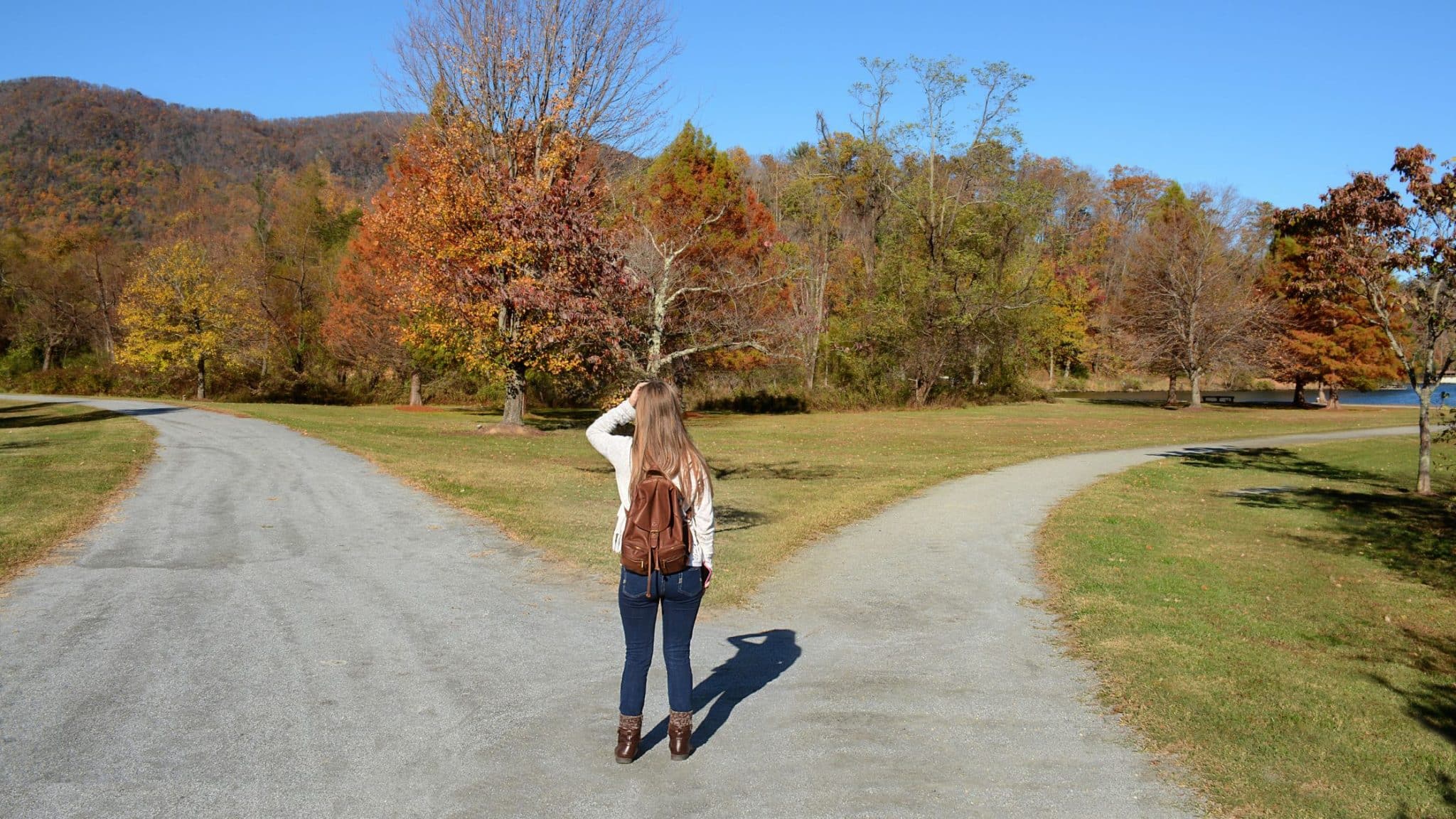 A Practical Guide to Understanding and Implementing AI Decision Trees