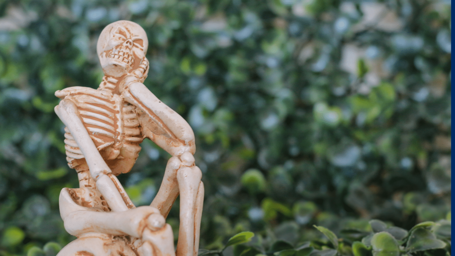 What Is Decision Science The Bridge Between Data And Actionable Insights